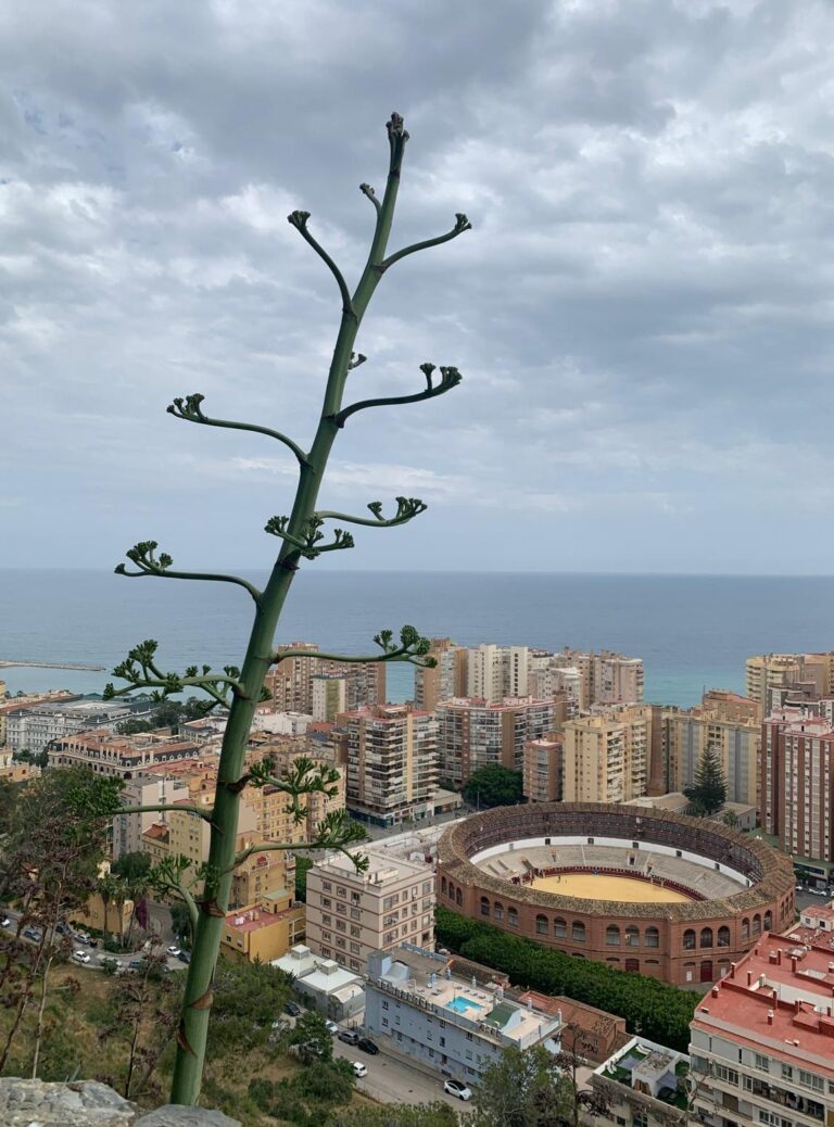 Málaga - mezi památkami a mořem (zkušenosti a inspirace z programu ...